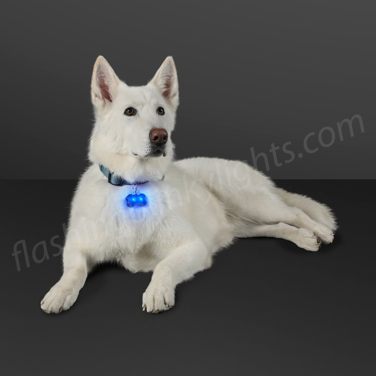 dog bone light