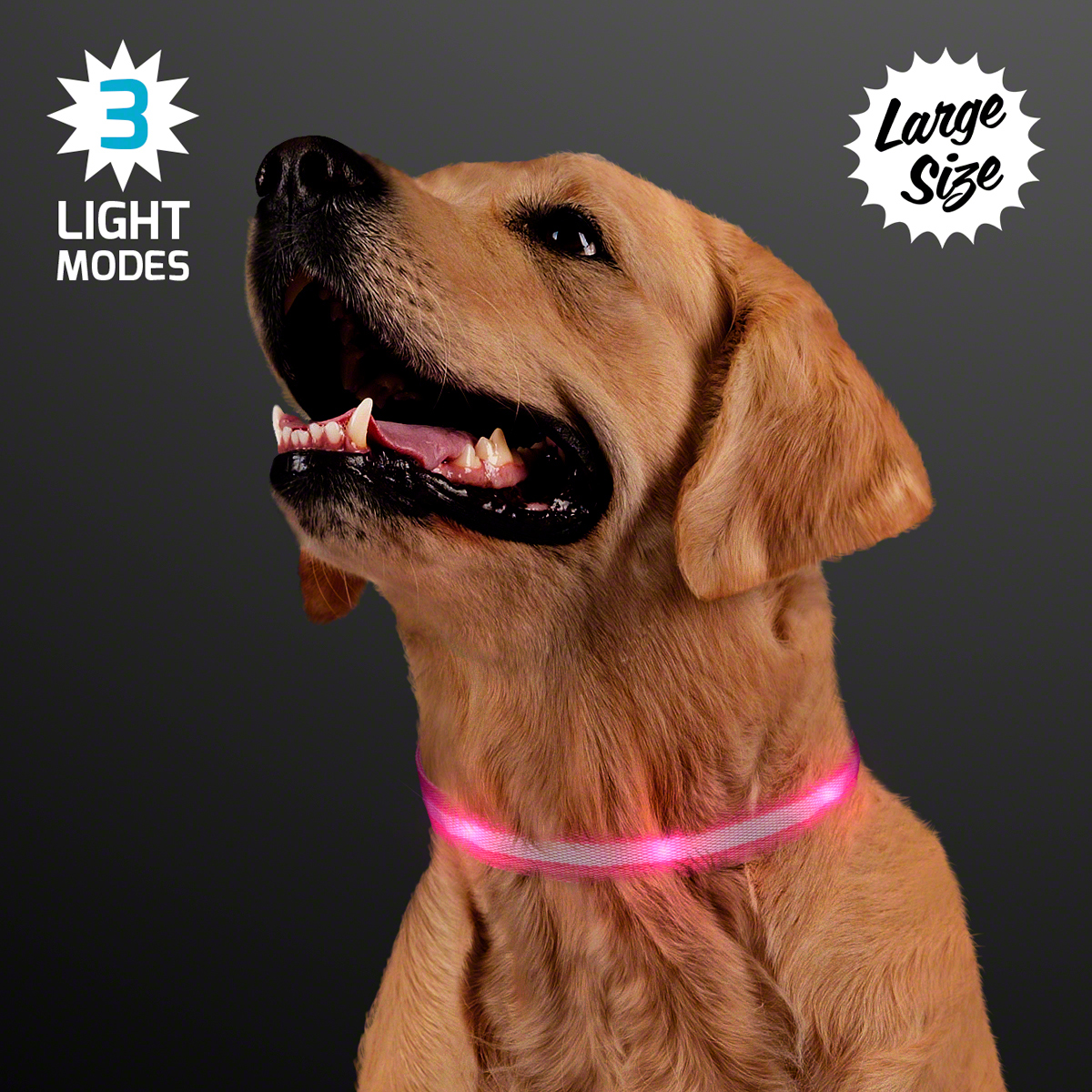 Blue Safety LED Light Up Dog Bone | FlashingBlinkyLights